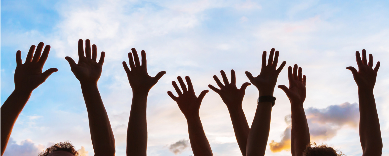 Volunteer Management - Sport Volunteering Solutions